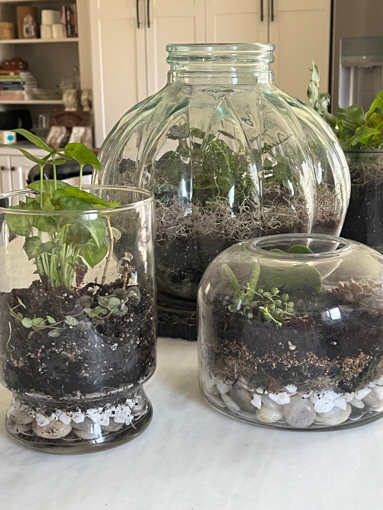 DIY Terrariums - Laurel Dane Designs, LLC